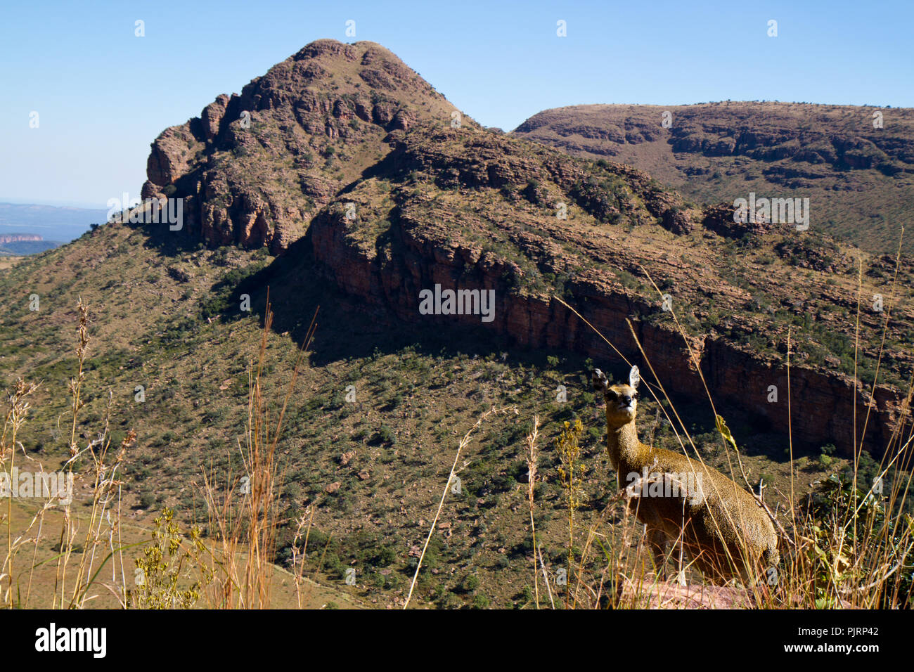 canyons of the marakele national park in south africa Stock Photo - Alamy