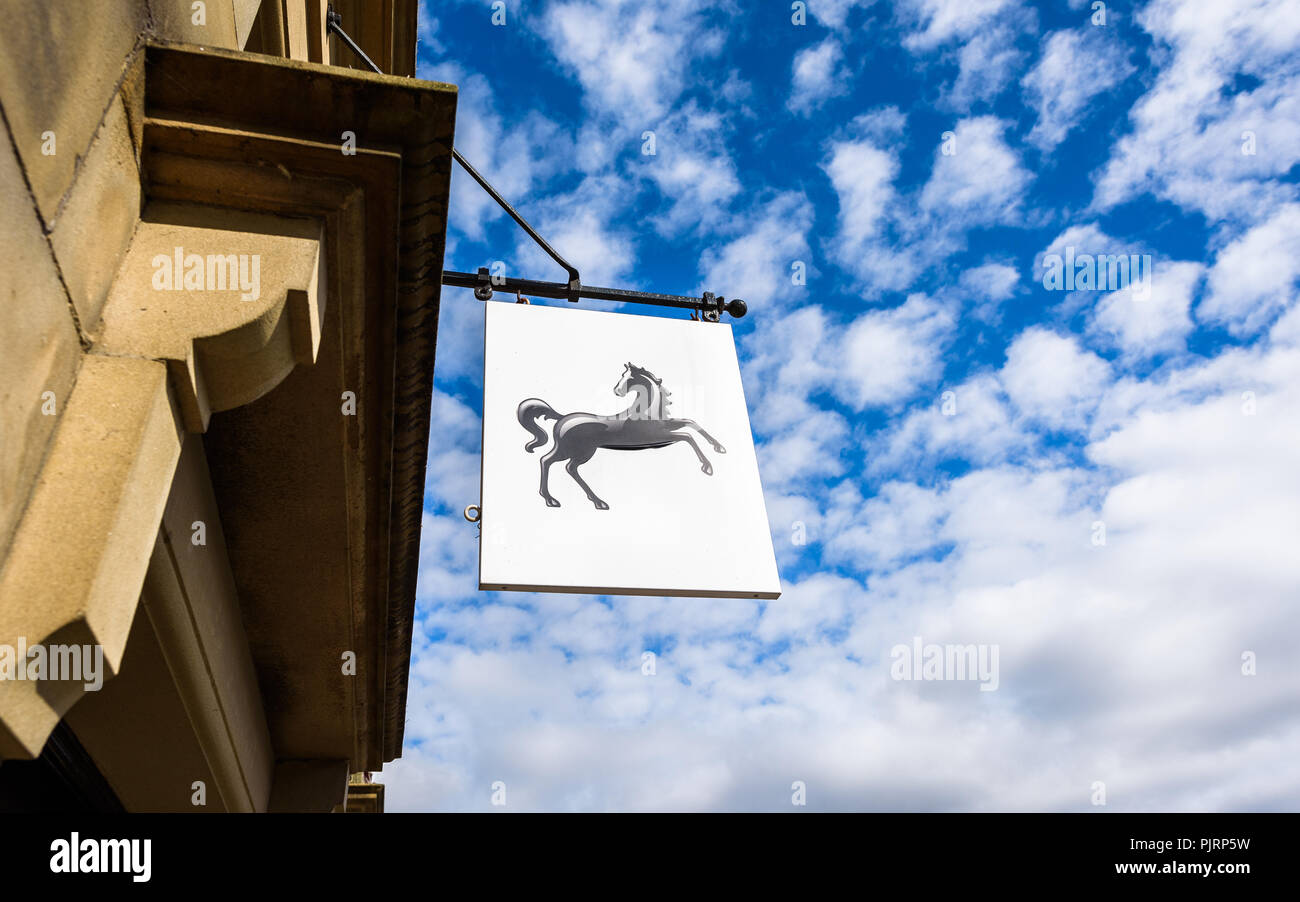 Lloyds bank branch sign logo hi-res stock photography and images - Alamy
