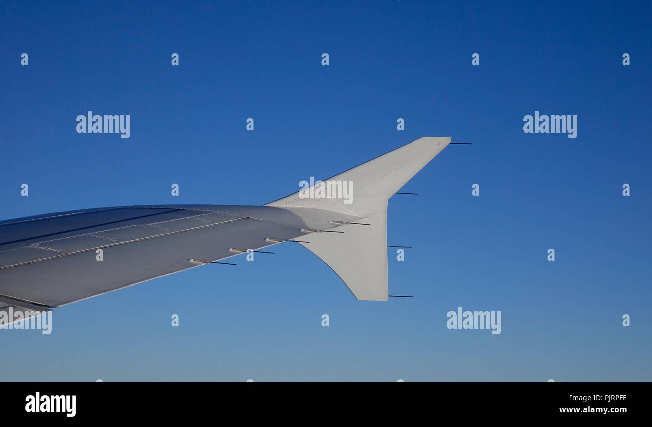 An airplane wing through airplane window with blue sky background Stock ...
