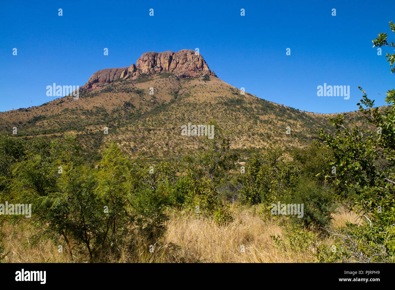 Marakele National Park High Resolution Stock Photography and Images - Alamy
