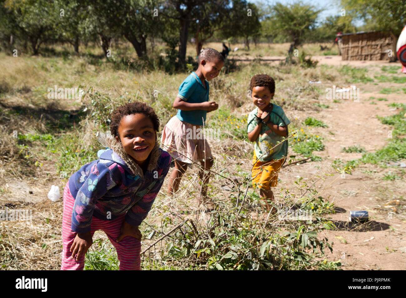 life in a san village in namibia, africa Stock Photo - Alamy