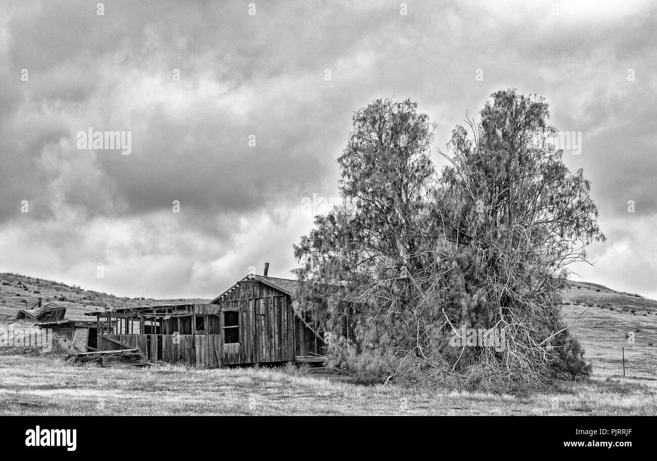 California, Carrizo Plain National Monument, Soda Lake Road, Traver ...