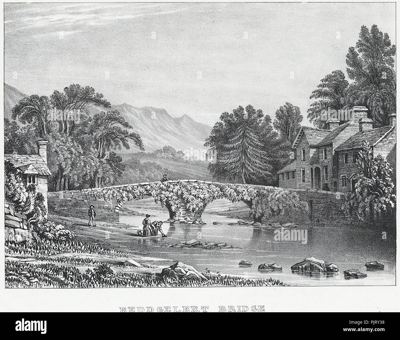 Gelert not wales hi-res stock photography and images - Alamy