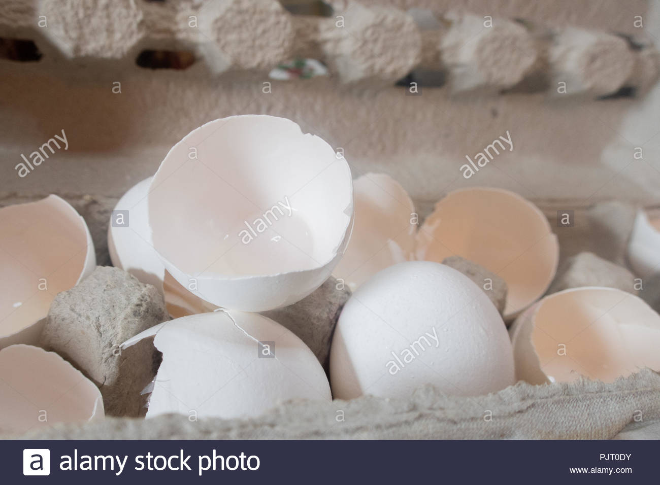 Egg Shells Waste Stock Photos & Egg Shells Waste Stock Images - Alamy