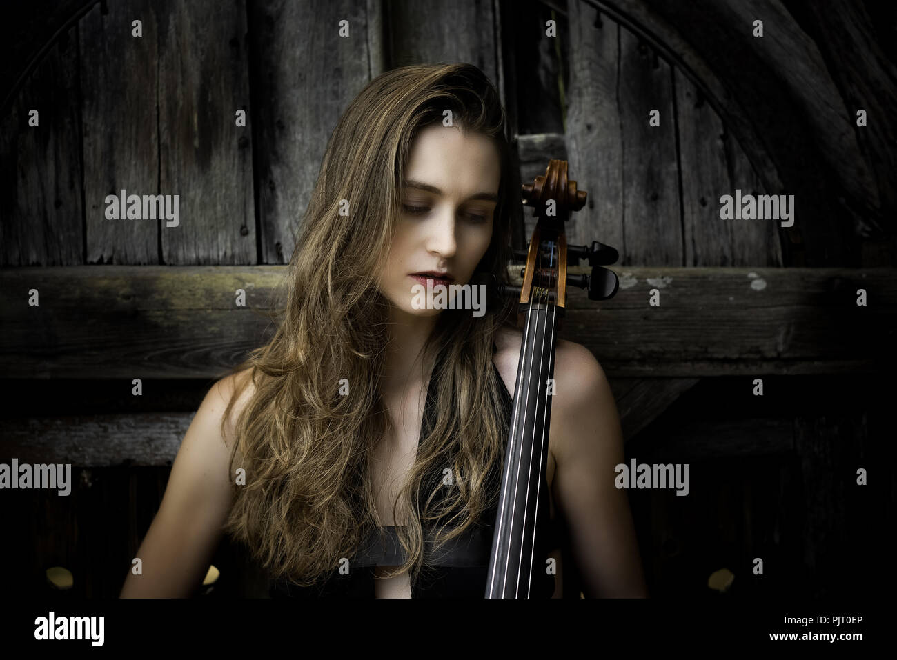Cello front hi-res stock photography and images - Alamy