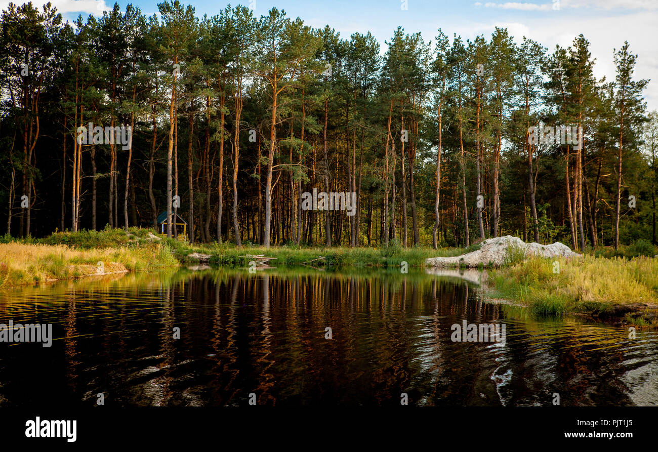 Beautiful landscape with forest near lake. Camping season Stock Photo ...