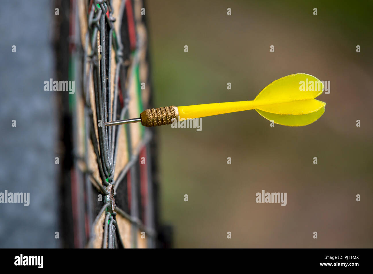 Yellow dart arrow hitting in the target of dartboard business success ...