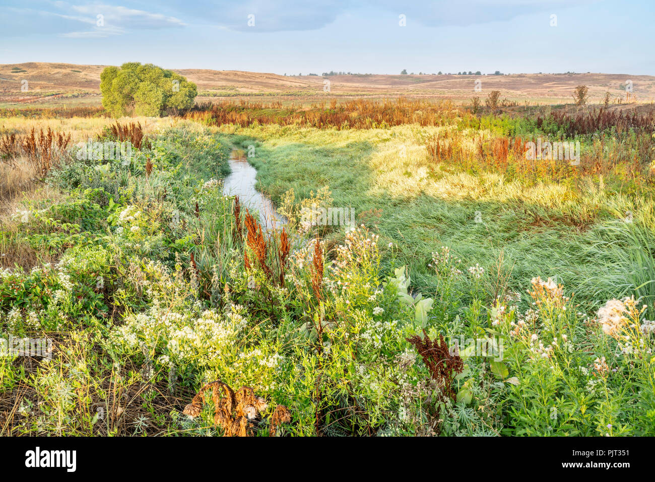 irrigation ditch (Eaton Ditch) in northern Colorado, late summer ...