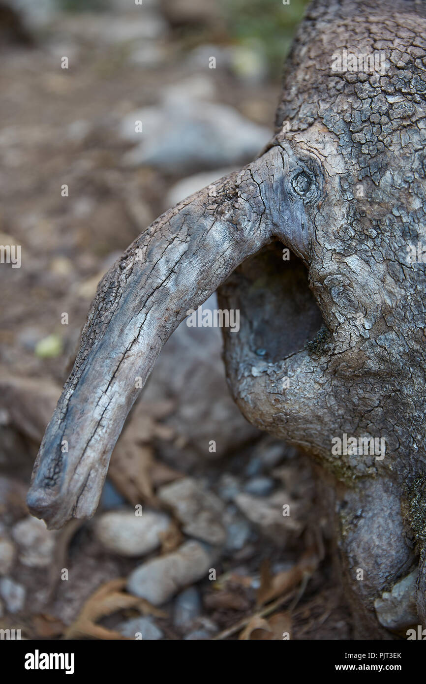Elephant face form hi-res stock photography and images - Alamy