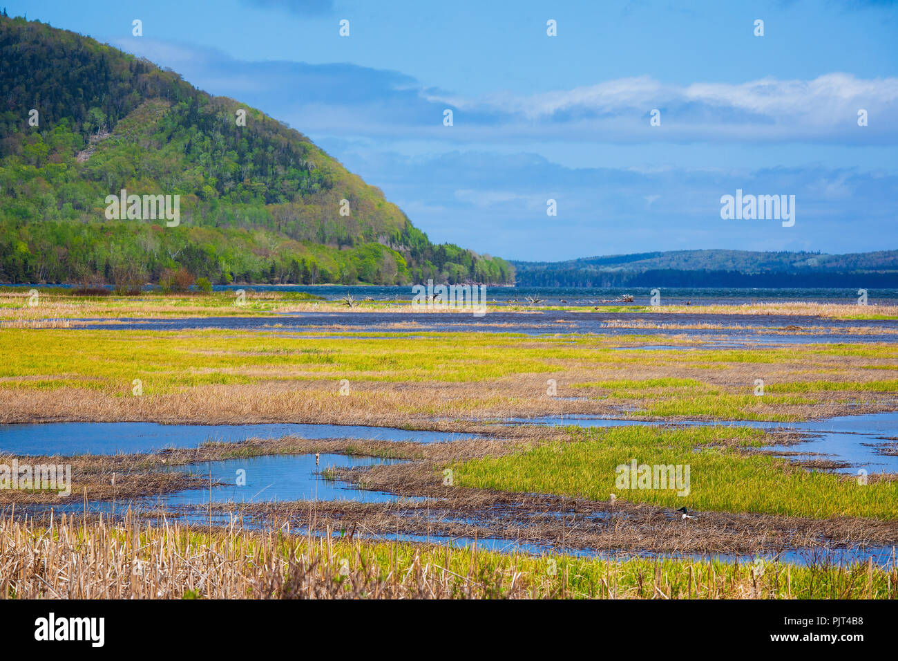 Whycocomagh nova scotia hi-res stock photography and images - Alamy