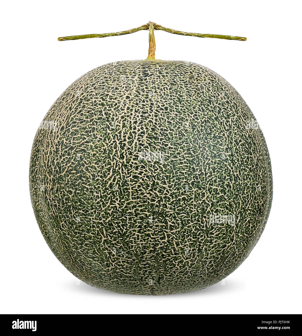 Melon isolated on white with clipping path Stock Photo - Alamy