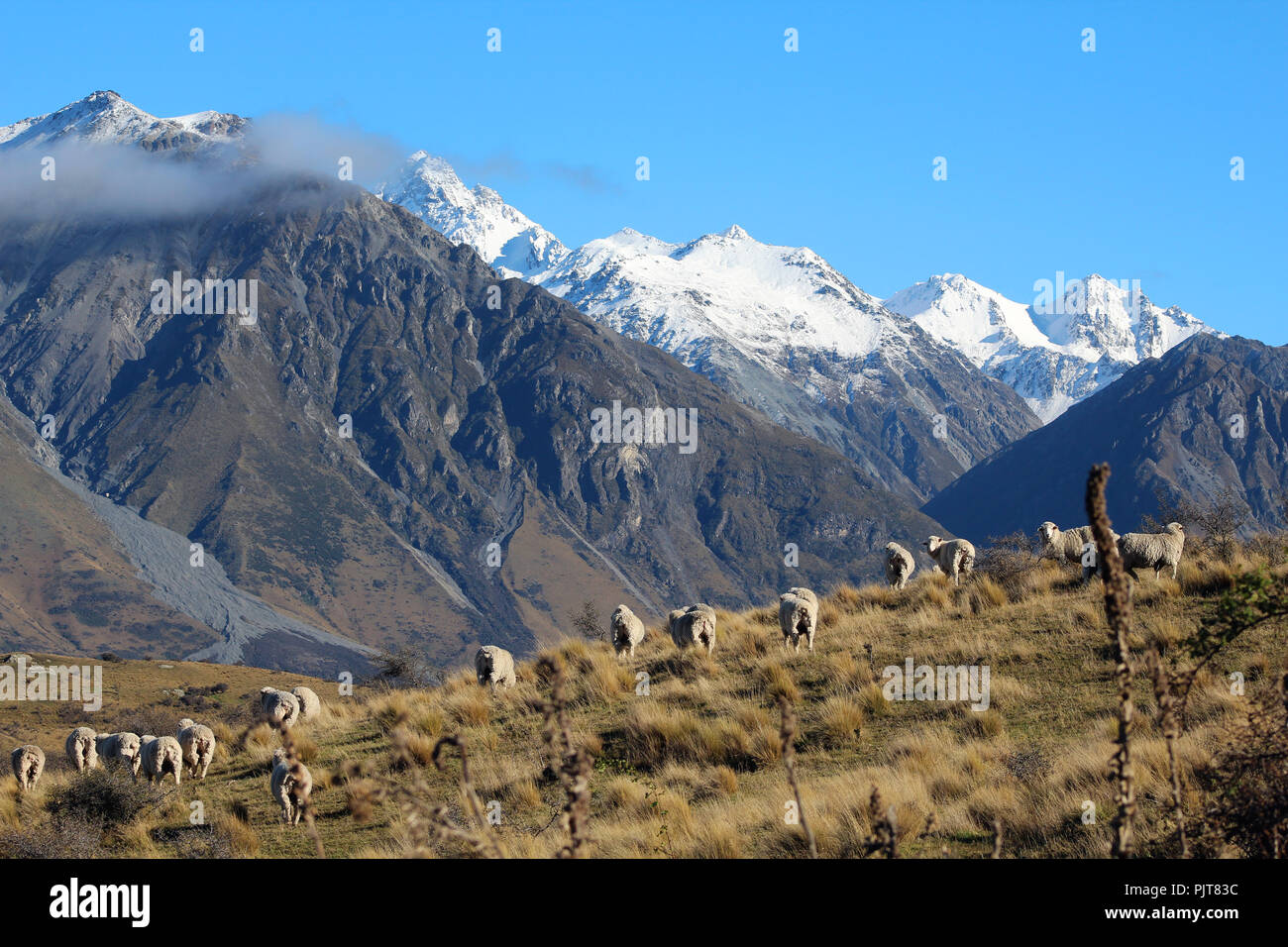 Mount sunday trek hi-res stock photography and images - Alamy