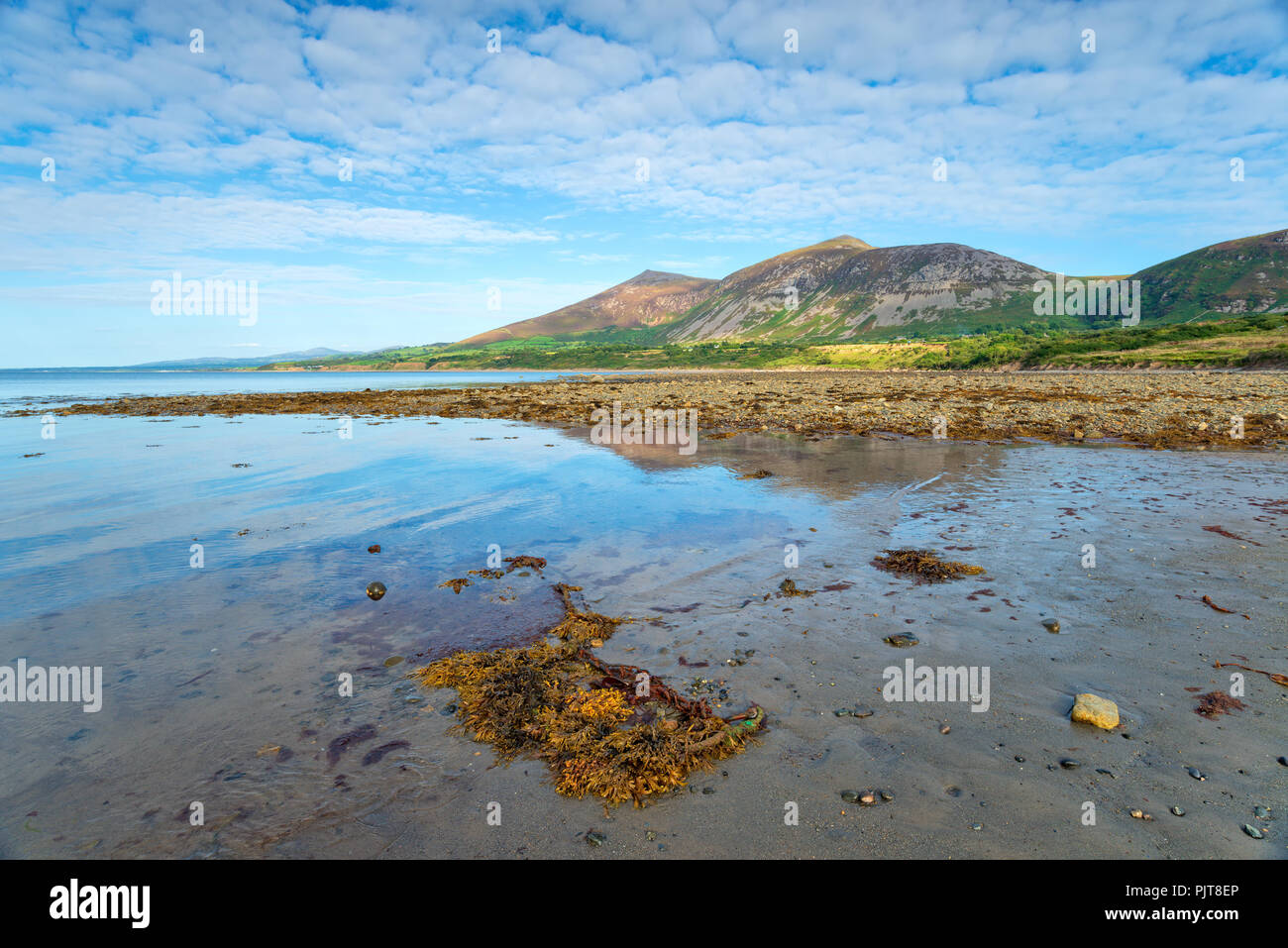 Low tide on the beach at Trefor on the beautiful Llyn Peninsula in ...