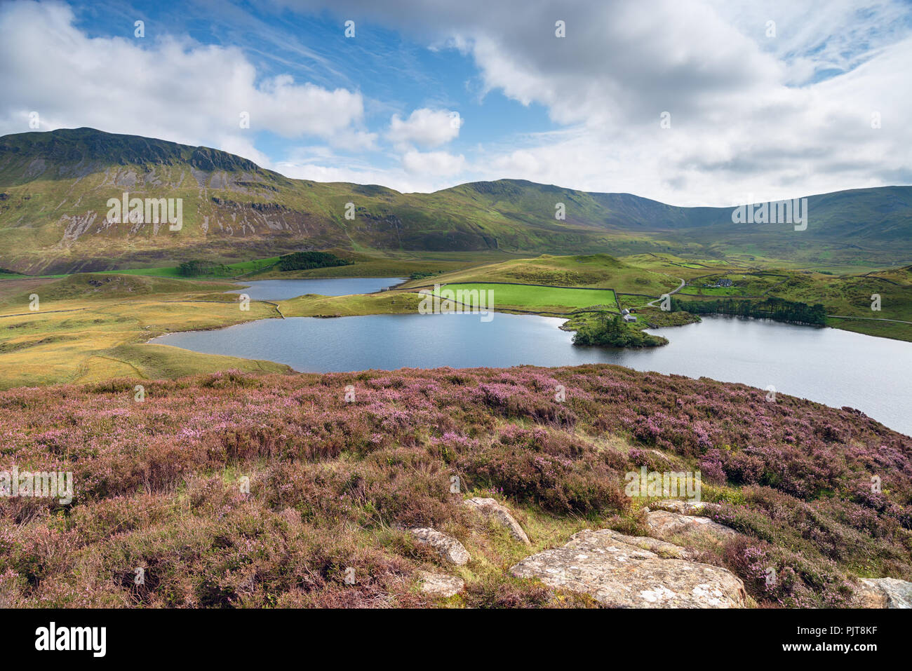 Summer in Snowdonia at Cregennan Lakes with Cadair Iris in the ...