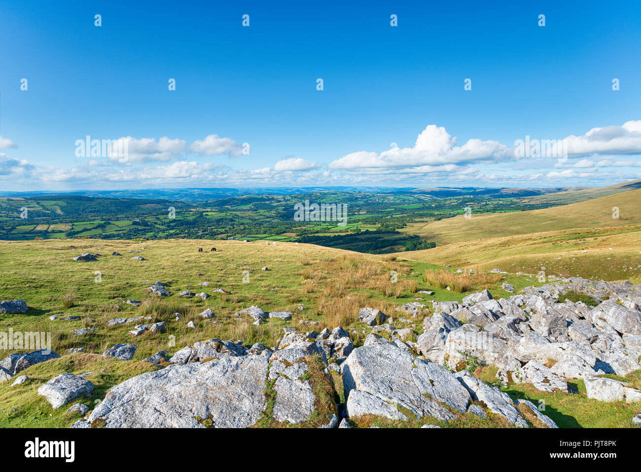 Summer on the Black Mountain in the Brecon Beacons in Wales Stock Photo ...