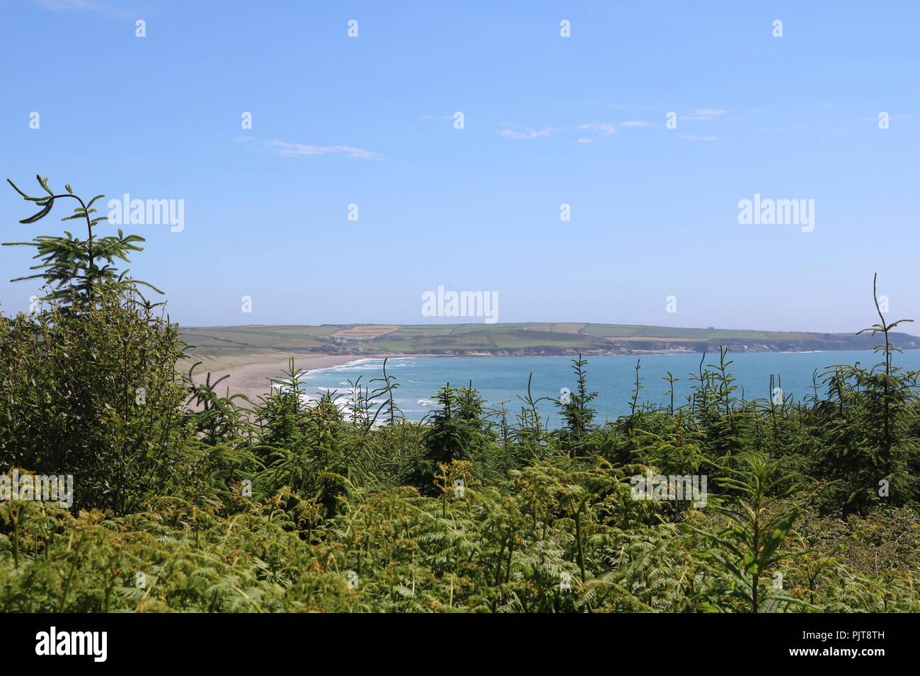 Castlefreke coillte walk hi-res stock photography and images - Alamy