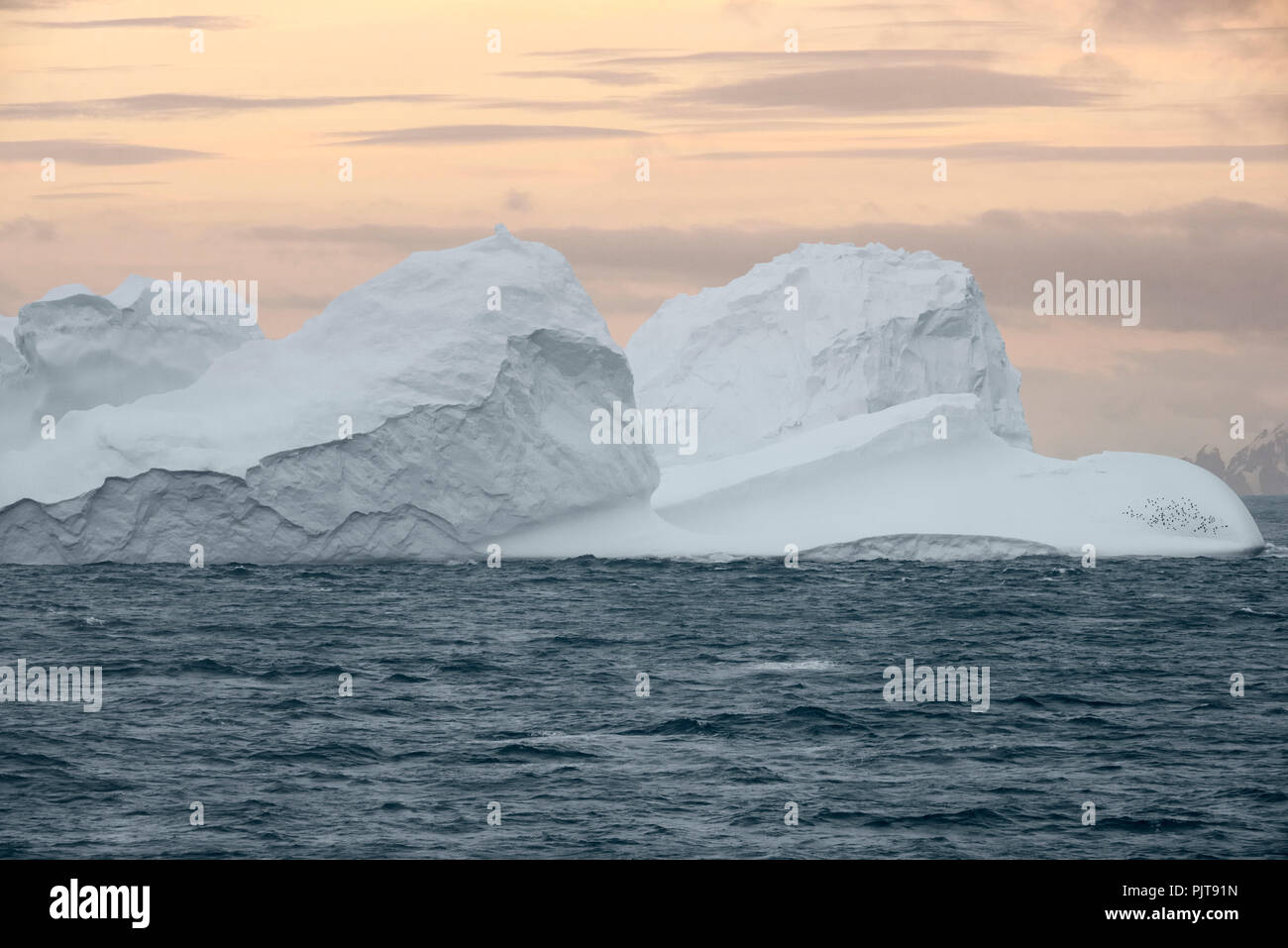 Large Iceberg floating at sunset in Bransfield Strait near the northern ...