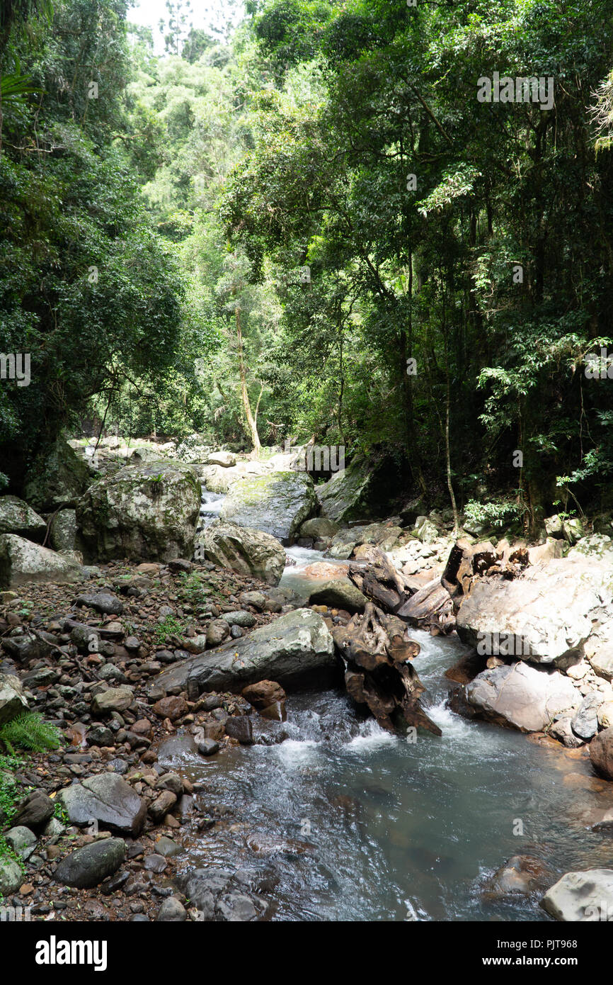 Jungle adventure, australia hi-res stock photography and images - Alamy