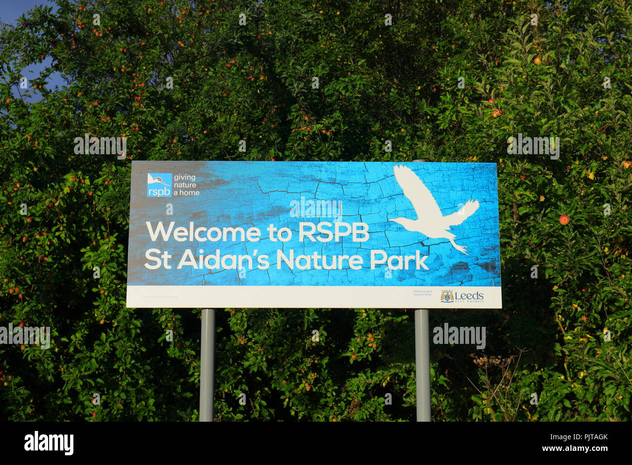 Welcome to rspb st aidans hi-res stock photography and images - Alamy