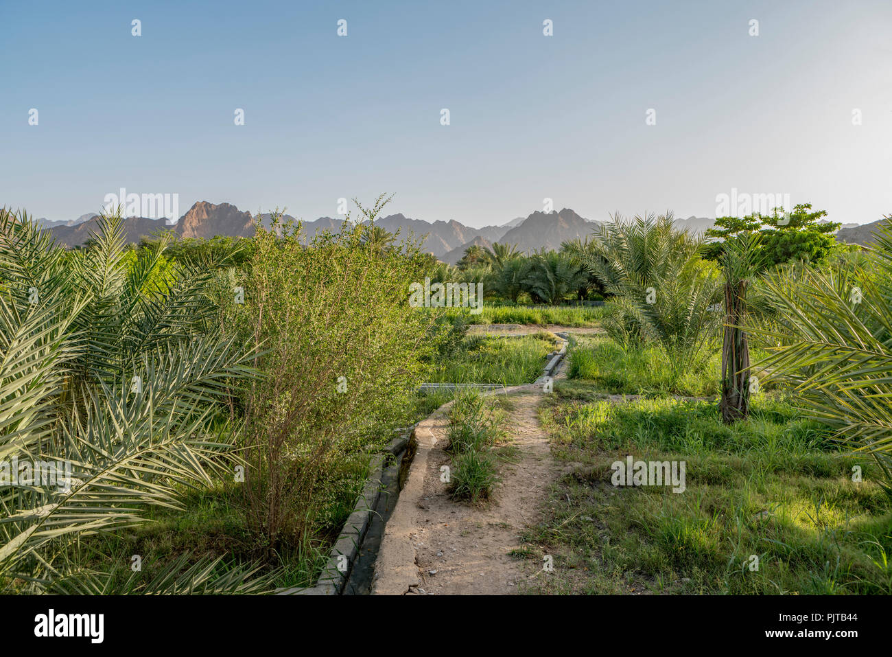 Falaj irrigation channel on a farm in Hatta, an enclave of Dubai in the ...