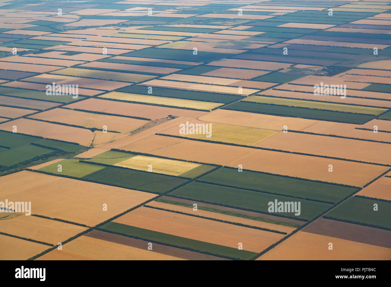 Ideal rectangular shaped yellow and green fields. View from the ...