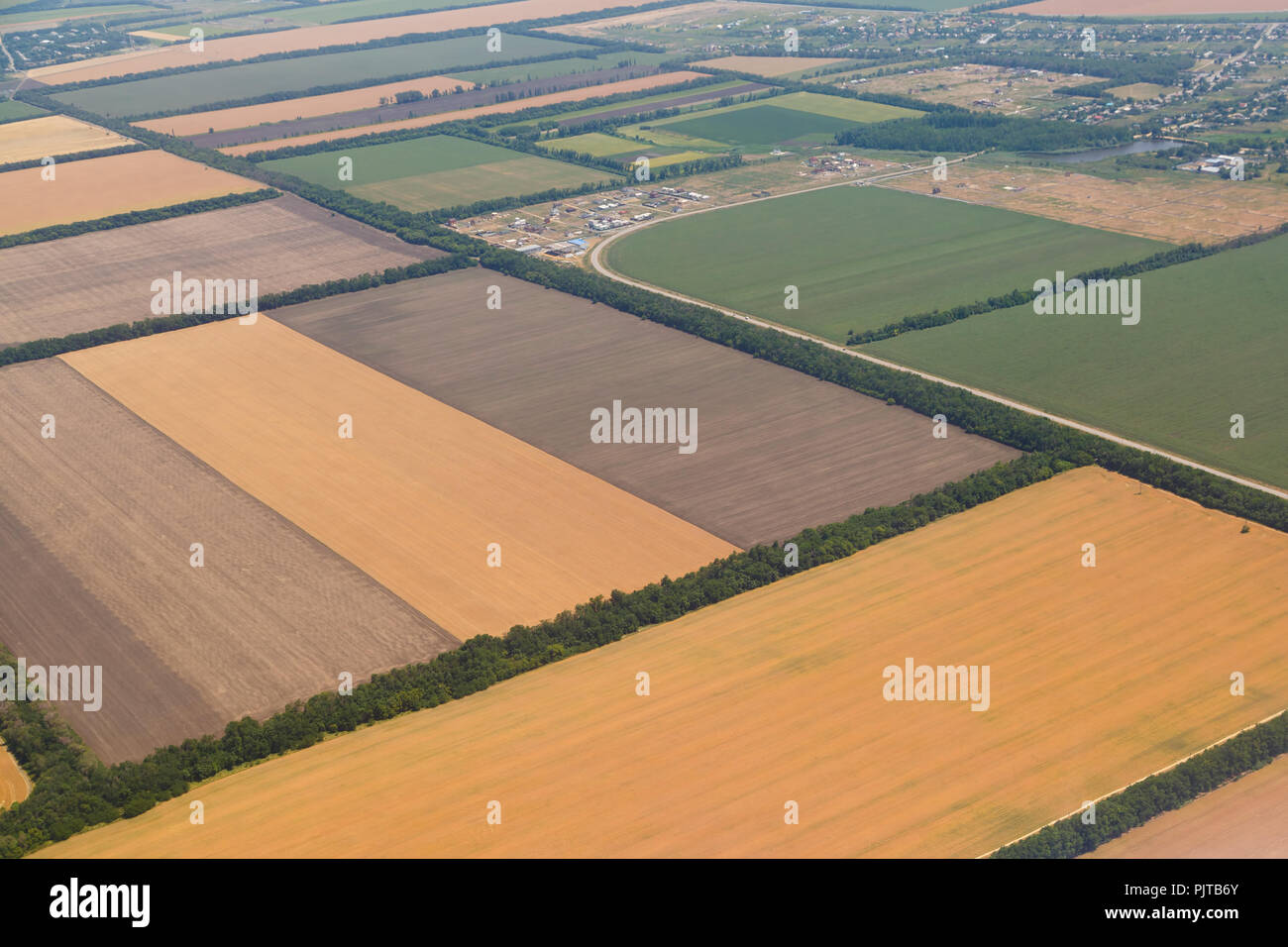 A lot of yellow fields before harvesting from a bird's eye view Stock ...