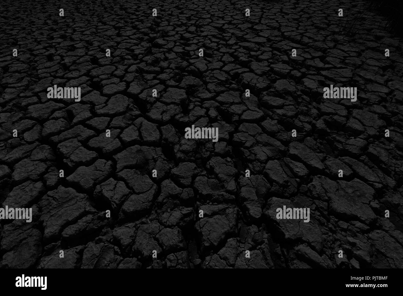 Humus soil Black and White Stock Photos & Images - Alamy