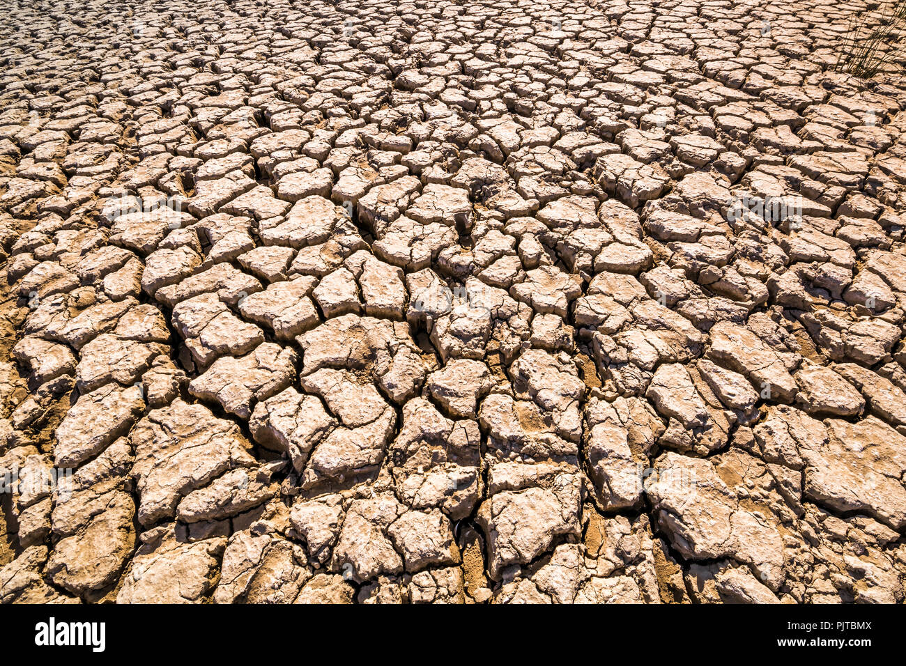Loam soil hi-res stock photography and images - Alamy