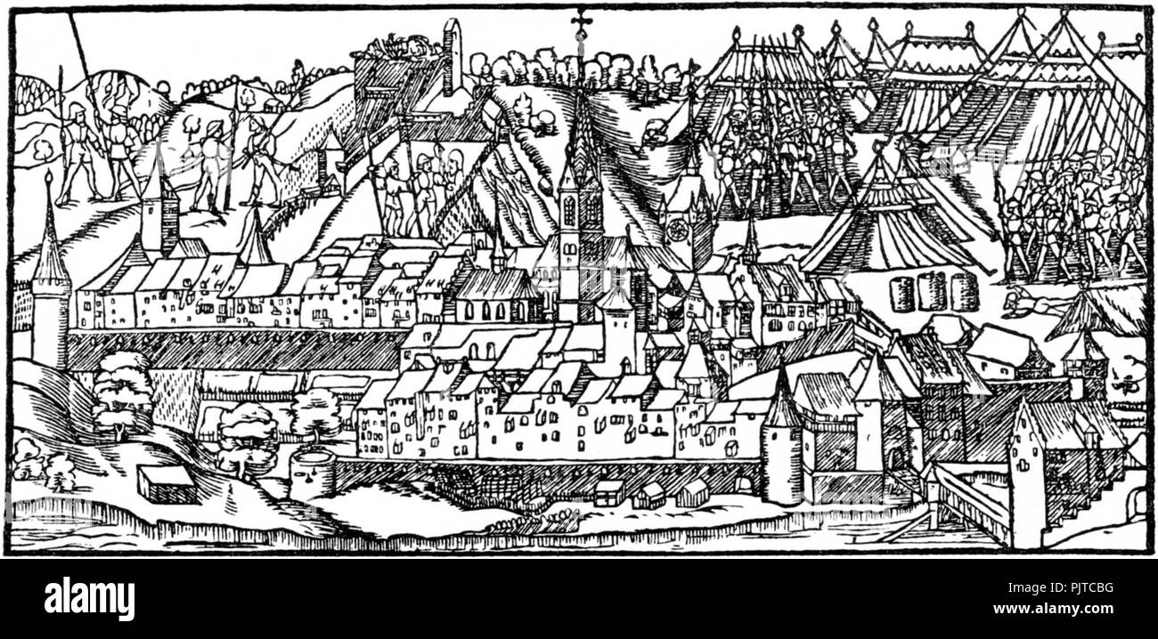 Stumpf hi-res stock photography and images - Alamy