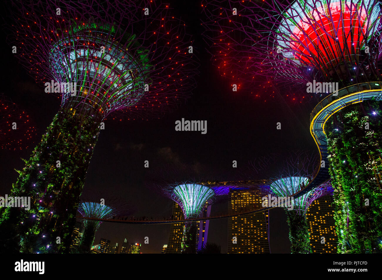 Supertrees in Gardens by the Bay in Singapore Stock Photo - Alamy