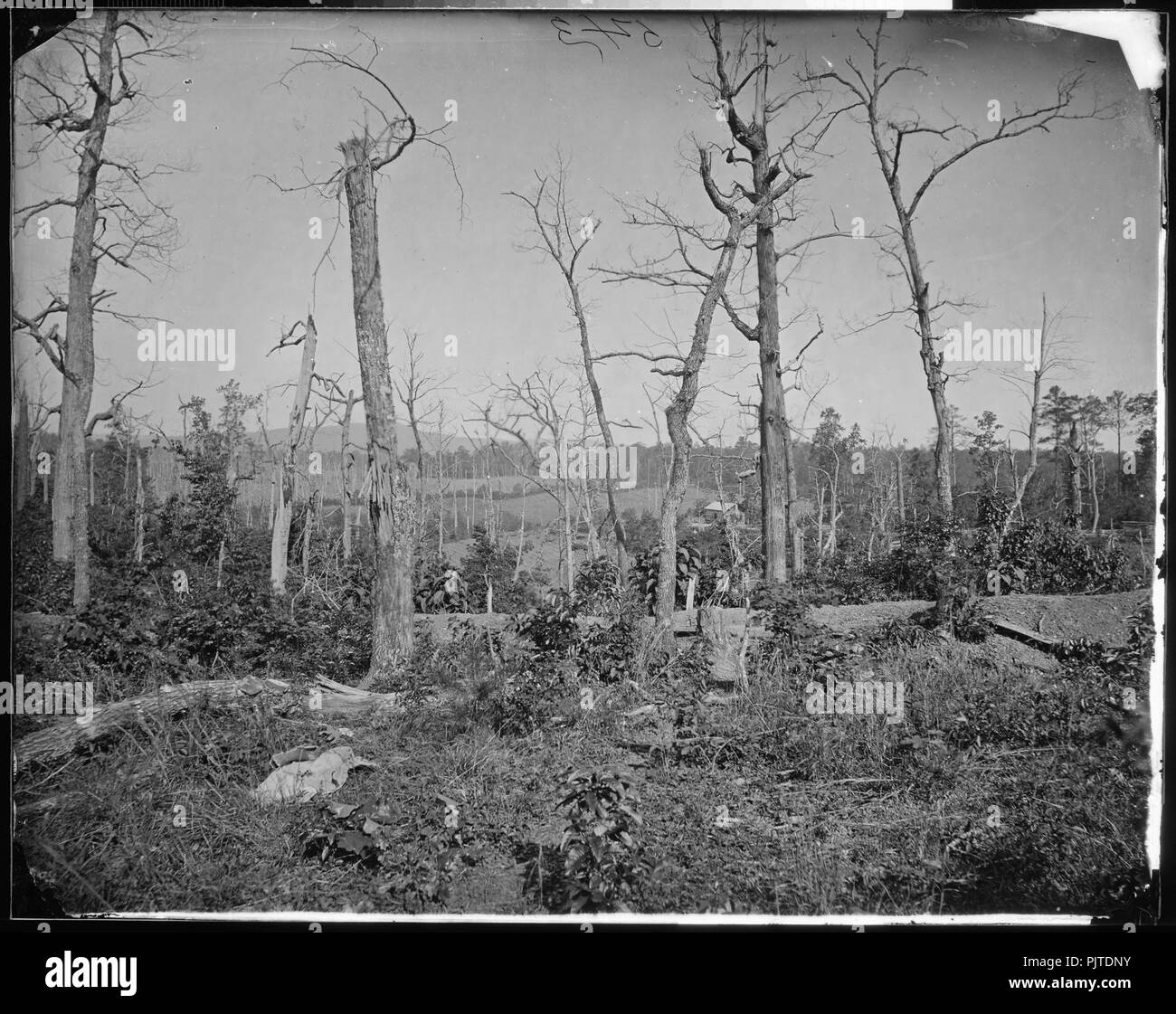Battlefield of Resaca, Ga.,1864 Stock Photo - Alamy