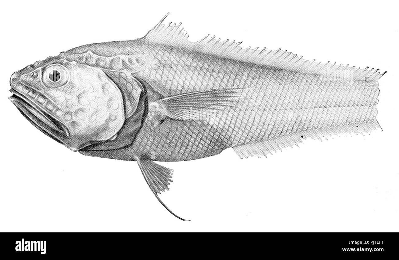 Bowersi hi-res stock photography and images - Alamy