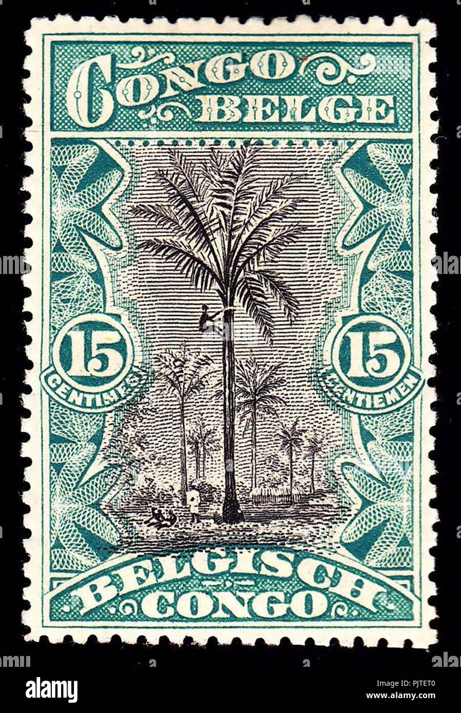 Belgian Congo palm 1915 issue-15c Stock Photo - Alamy