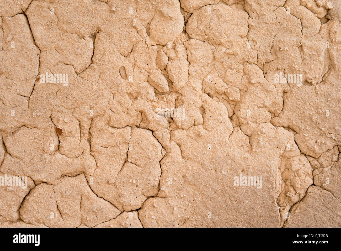 close up of plaster inside of a medieval castle Stock Photo - Alamy