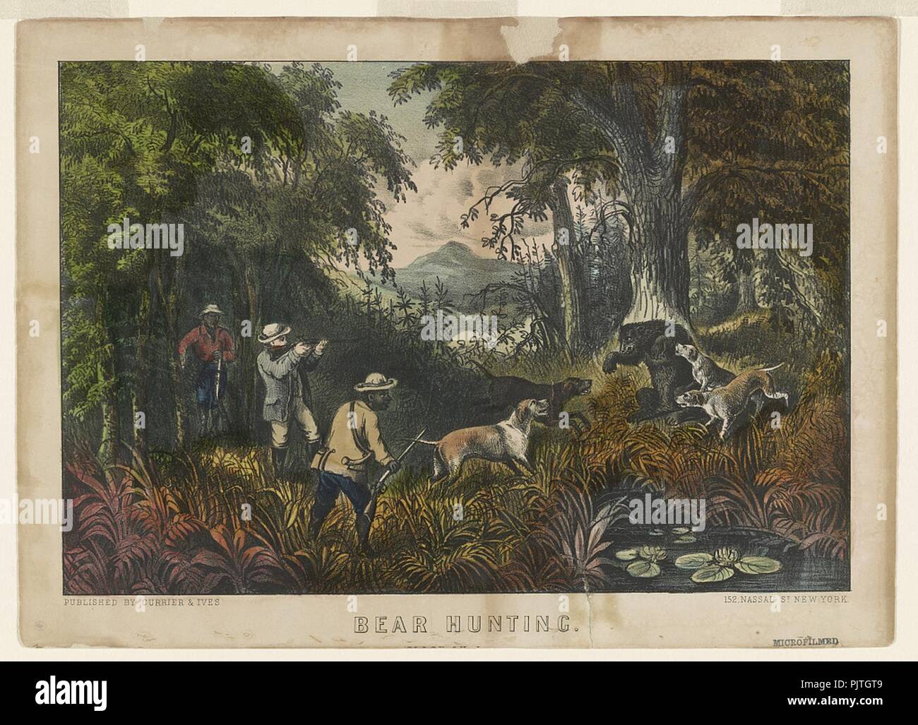 Bear Hunting- close quarters Stock Photo - Alamy