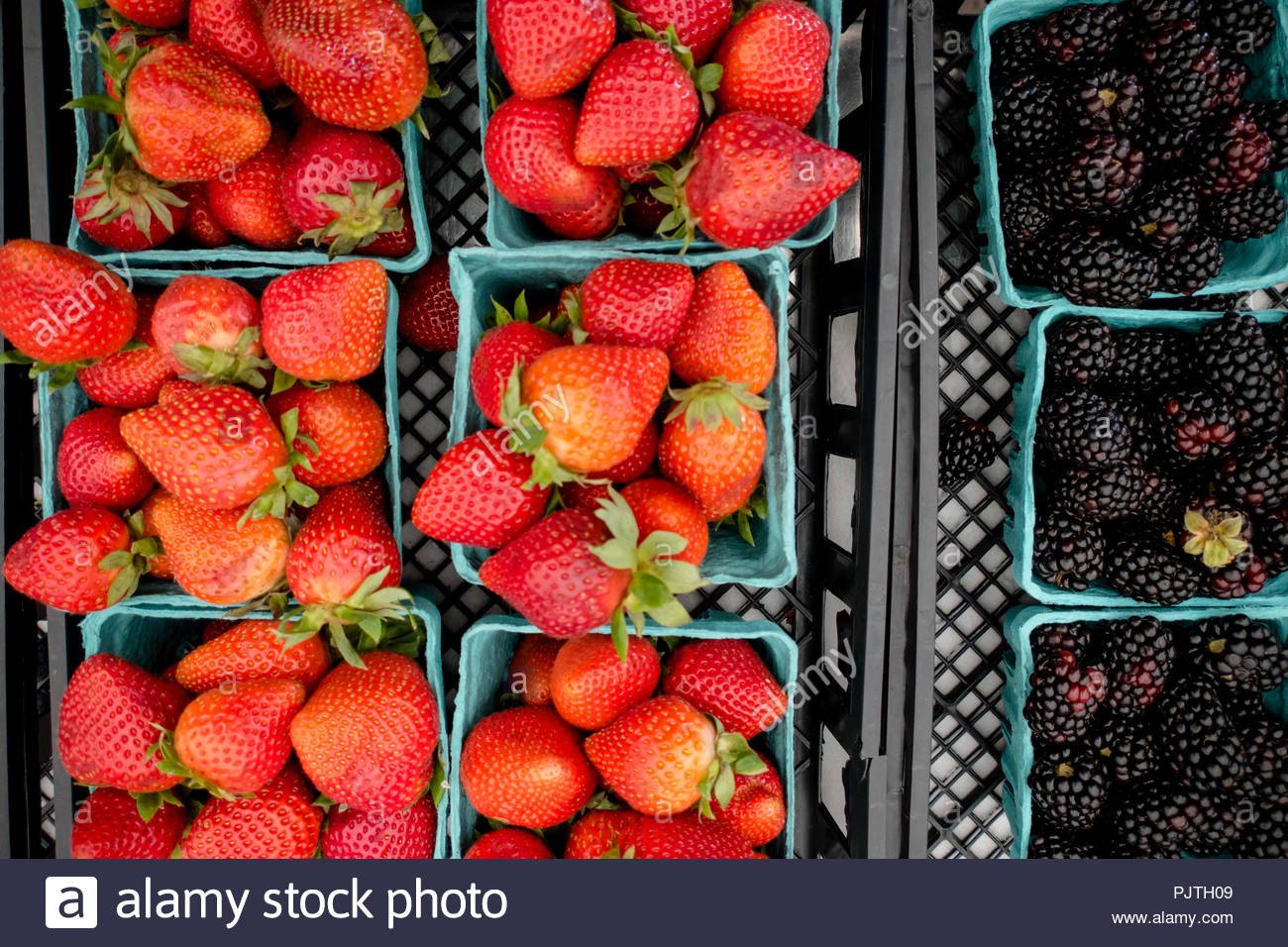 Blueberry Pint Stock Photos & Blueberry Pint Stock Images - Alamy