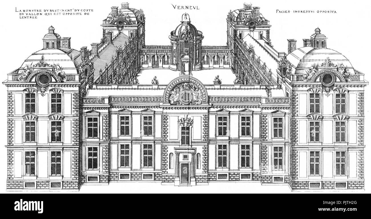 Garden birds eye view Black and White Stock Photos & Images - Alamy