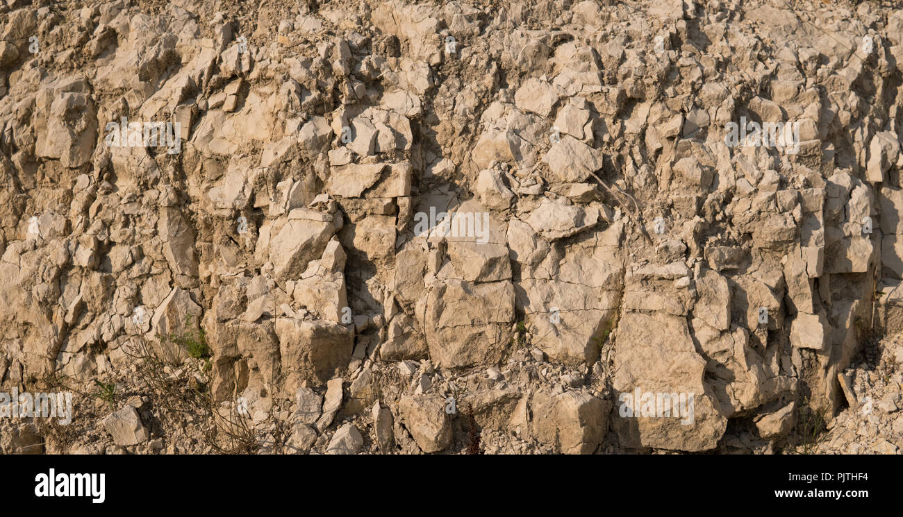 close up of geological outcrop of limestone which was a former ...