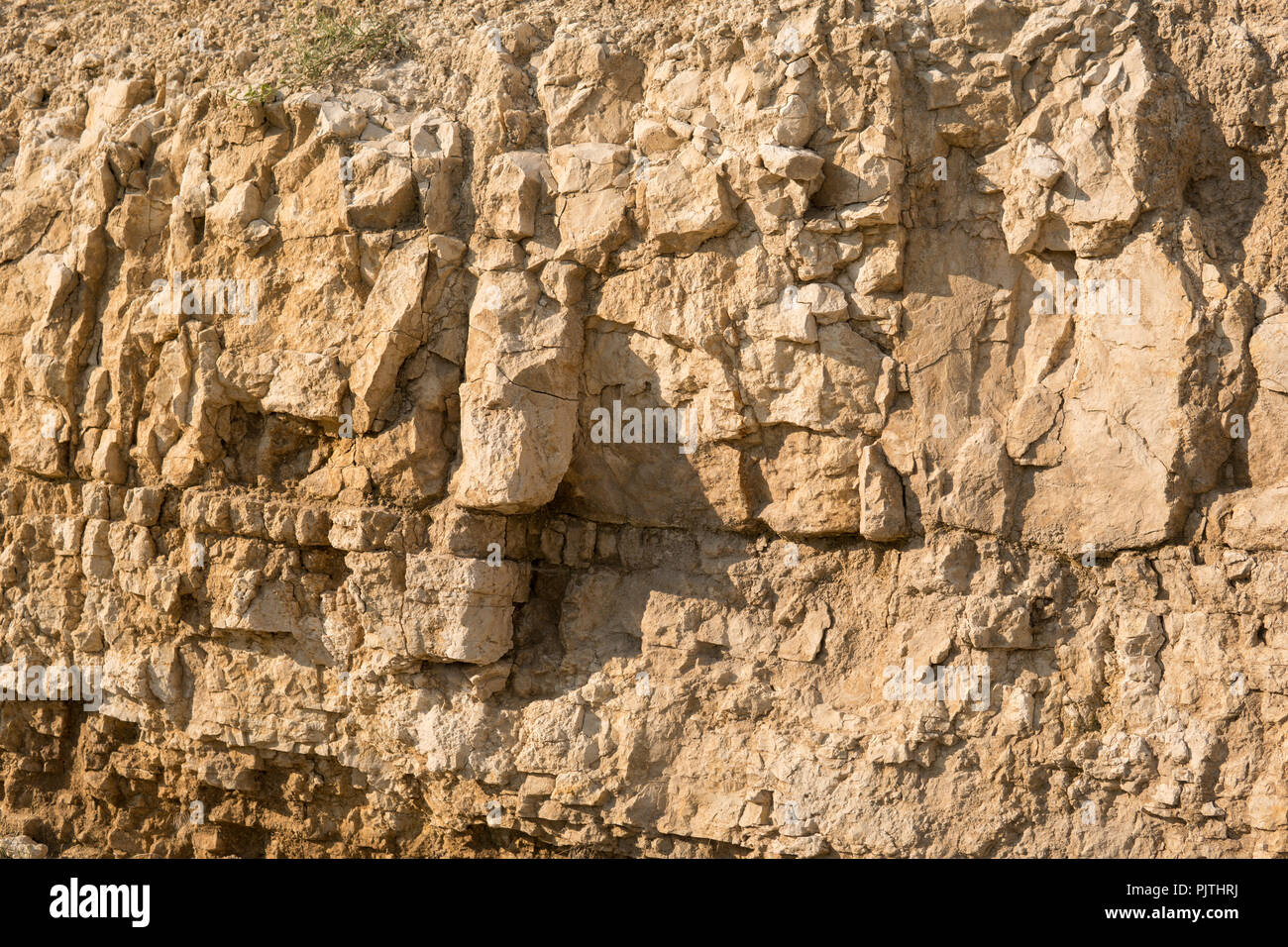 close up of geological outcrop of limestone which was a former ...