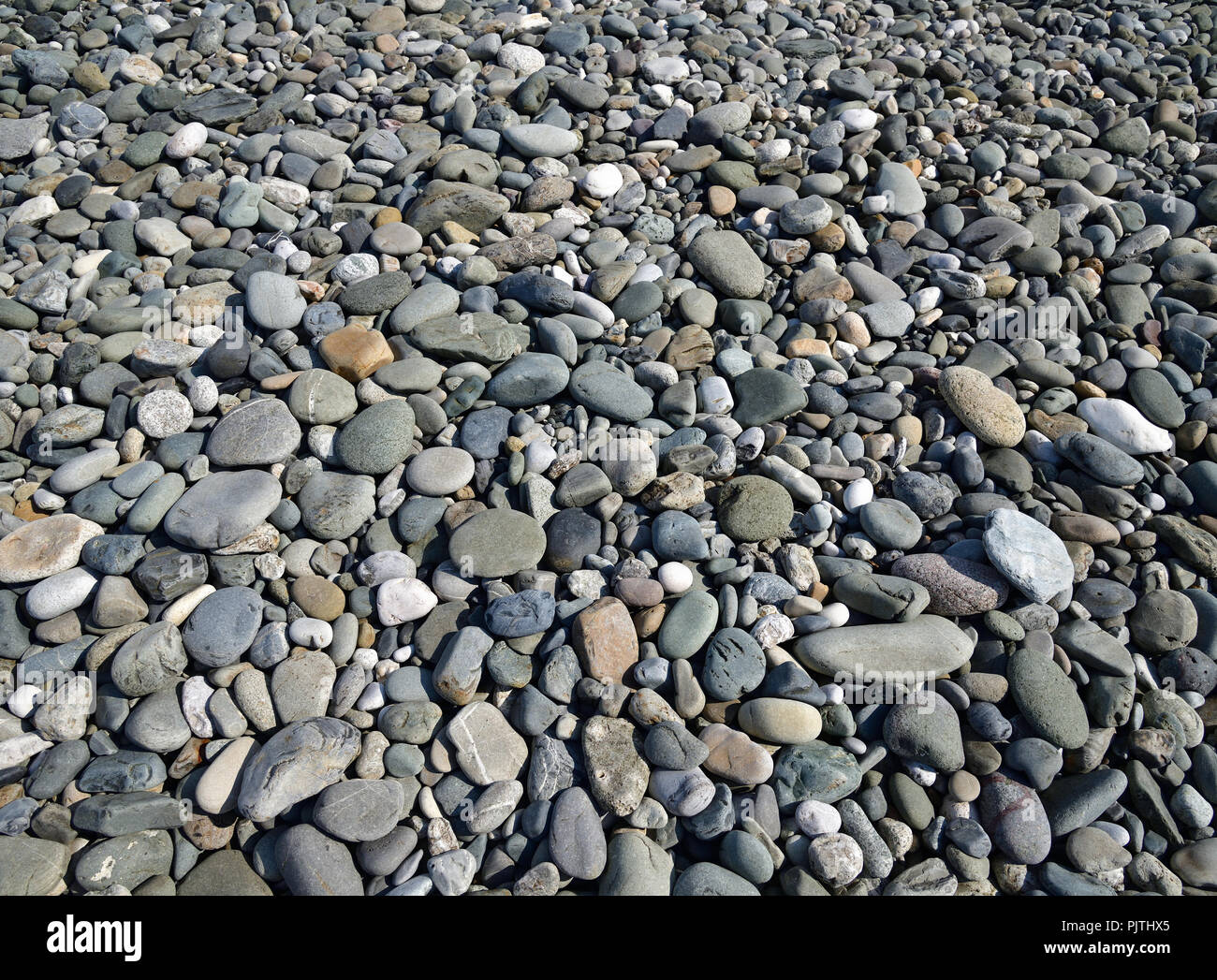 background of large pebbles on beach Stock Photo - Alamy