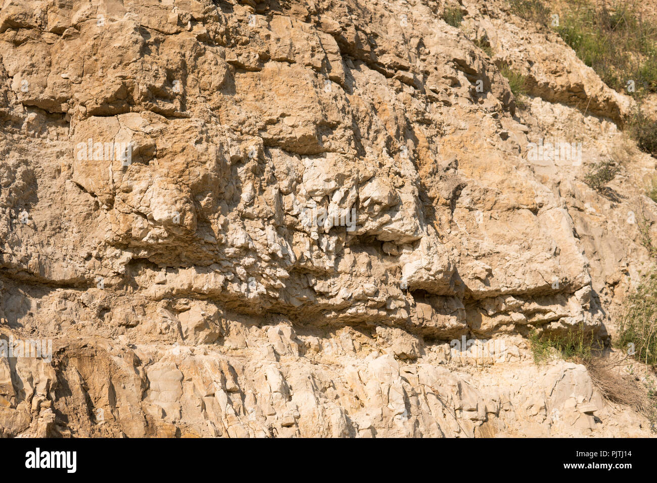 close up of geological outcrop of limestone which was a former ...