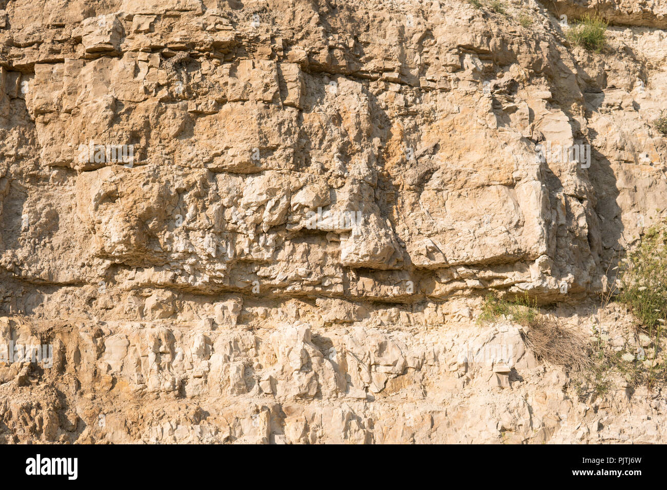 close up of geological outcrop of limestone which was a former ...