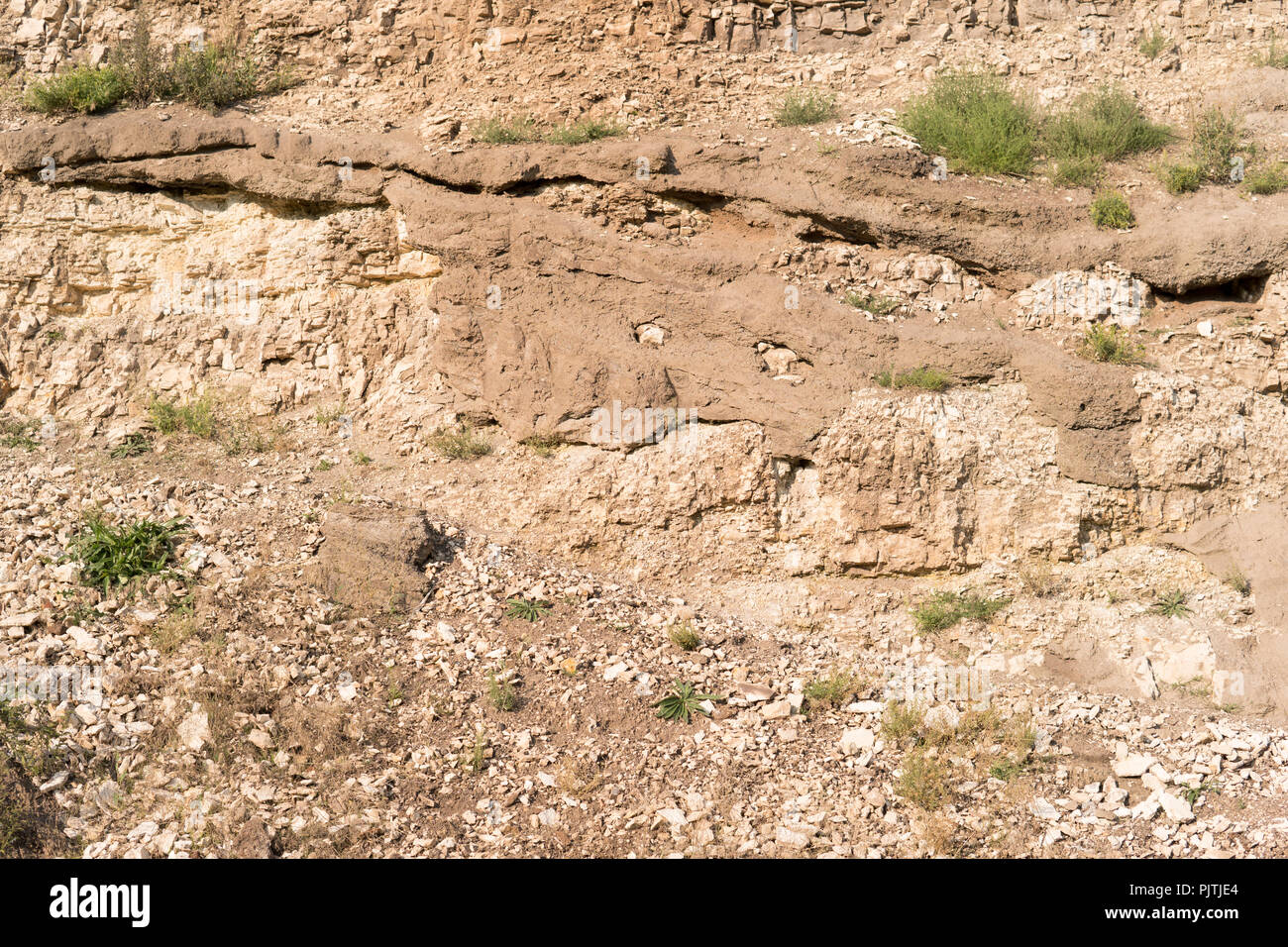 close up of geological outcrop of limestone which was a former ...