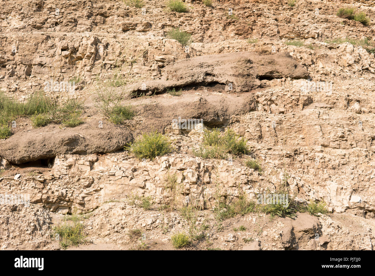 close up of geological outcrop of limestone which was a former ...