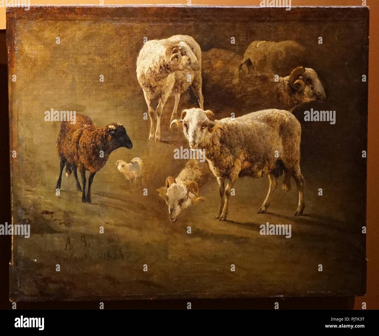 Beliers hi-res stock photography and images - Alamy