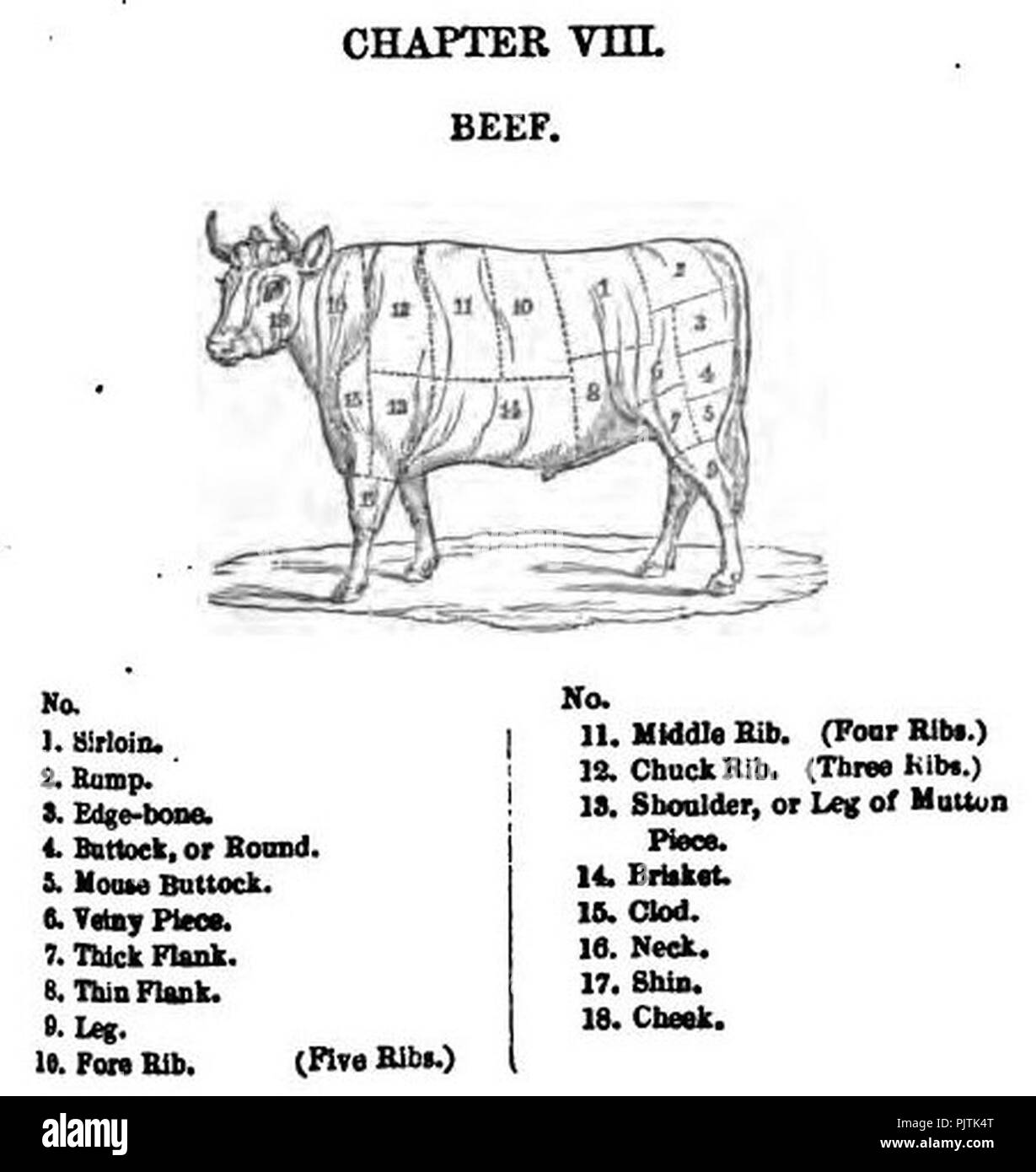 Cuts of beef art Black and White Stock Photos & Images - Alamy