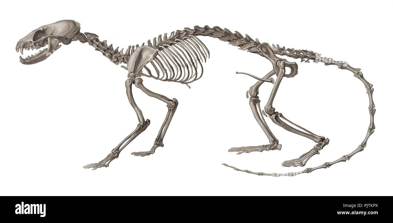 Do not let Cut Out Stock Images & Pictures - Alamy