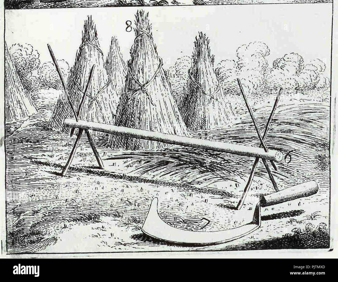 Baruffaldi hi-res stock photography and images - Alamy