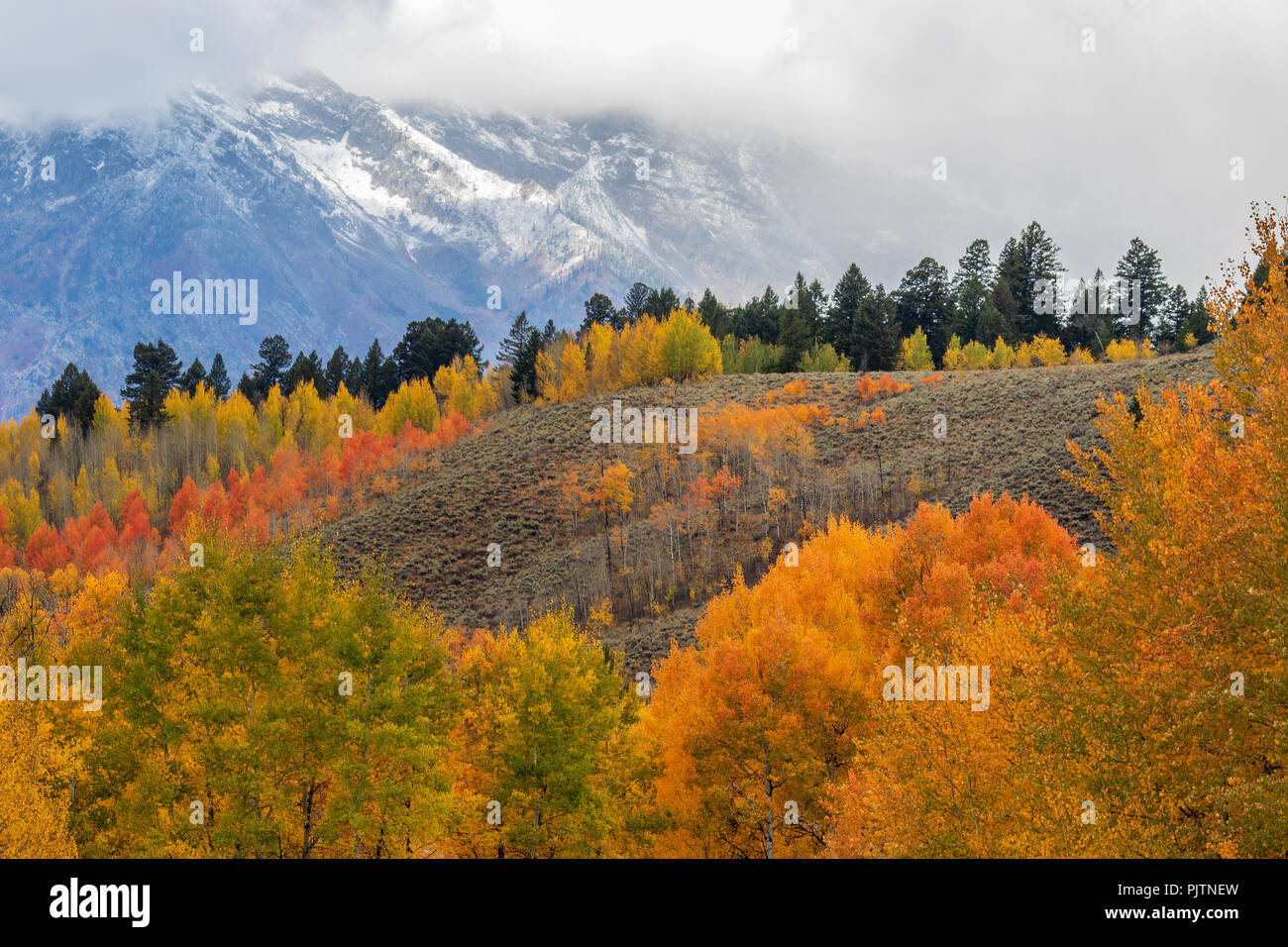 Scenic Autumn Landscape in the Tetons Stock Photo - Alamy