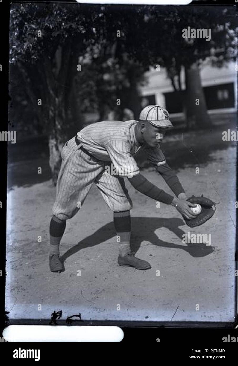 Baseball Player Saint Louis College Stock Photo - Alamy